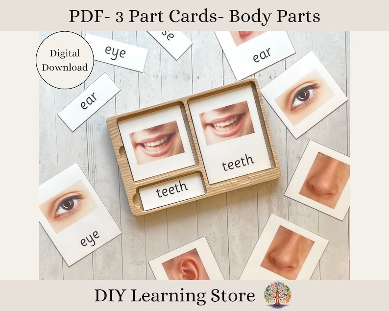 Body Parts- Montessori 3 Part Flash Card Set - Real Pictures ...