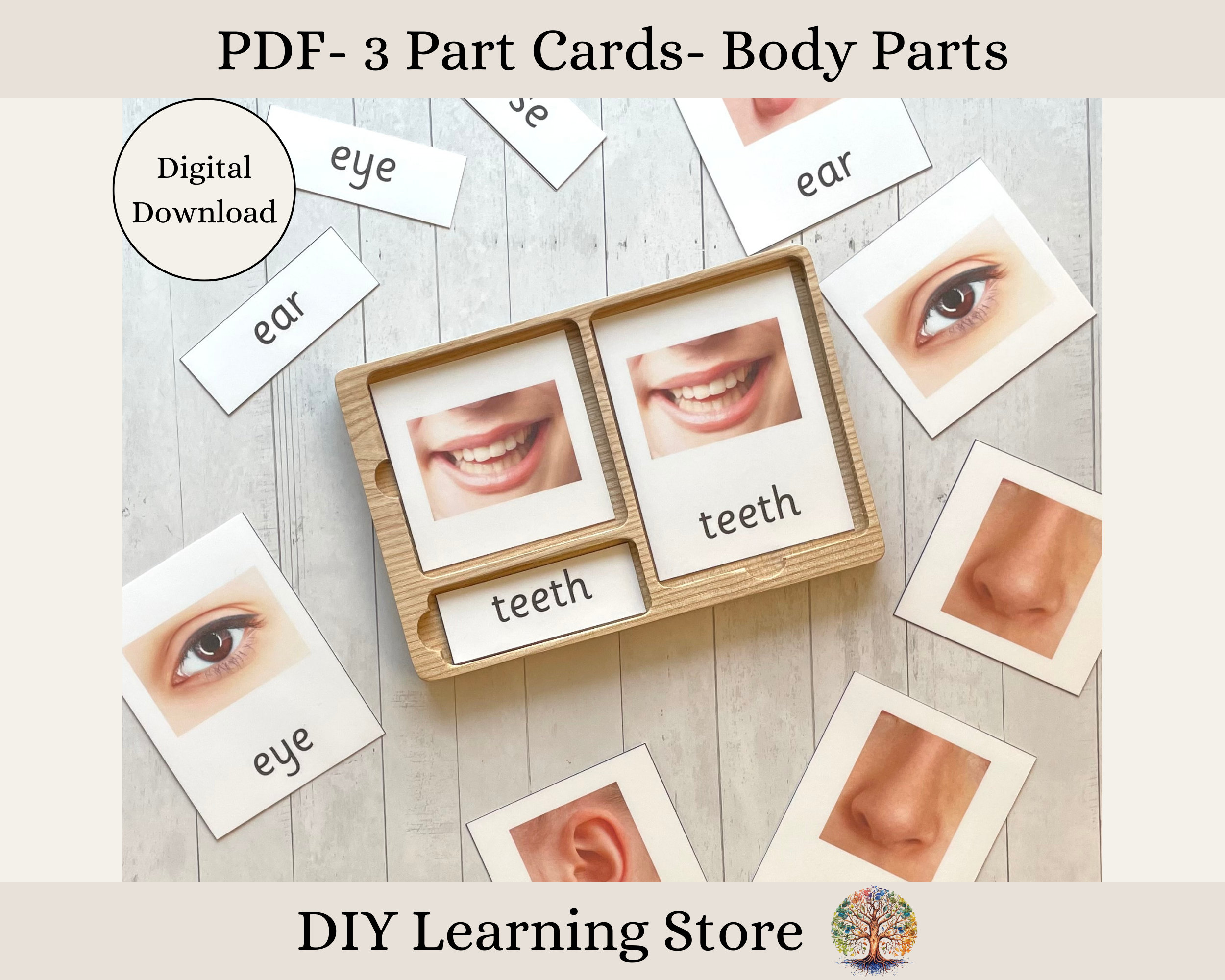 Body Parts- Montessori 3 Part Flash Card Set - Real Pictures ...