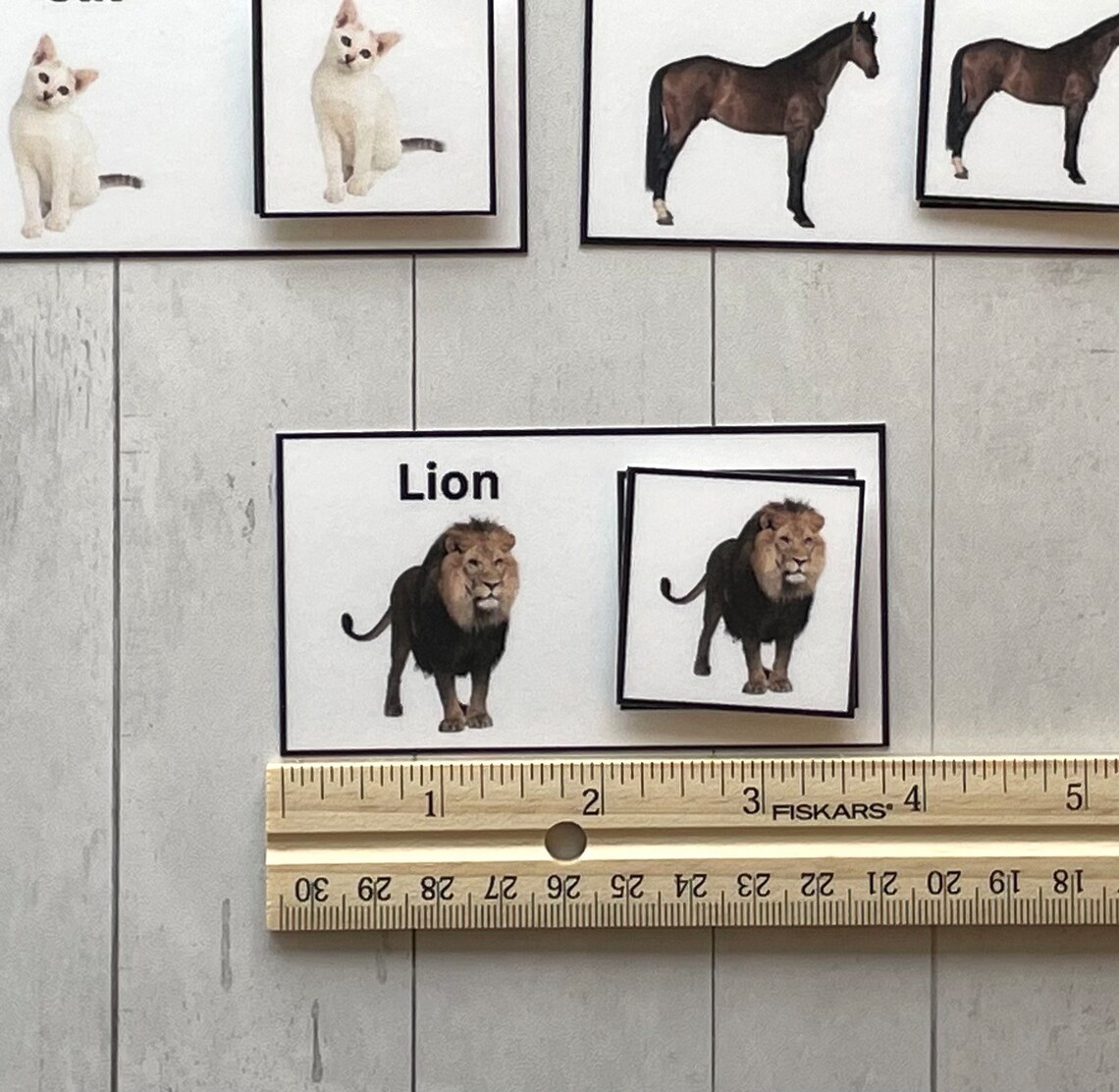 Animal Matching- Task Box Activity Set- for Preschool, Toddlers ...