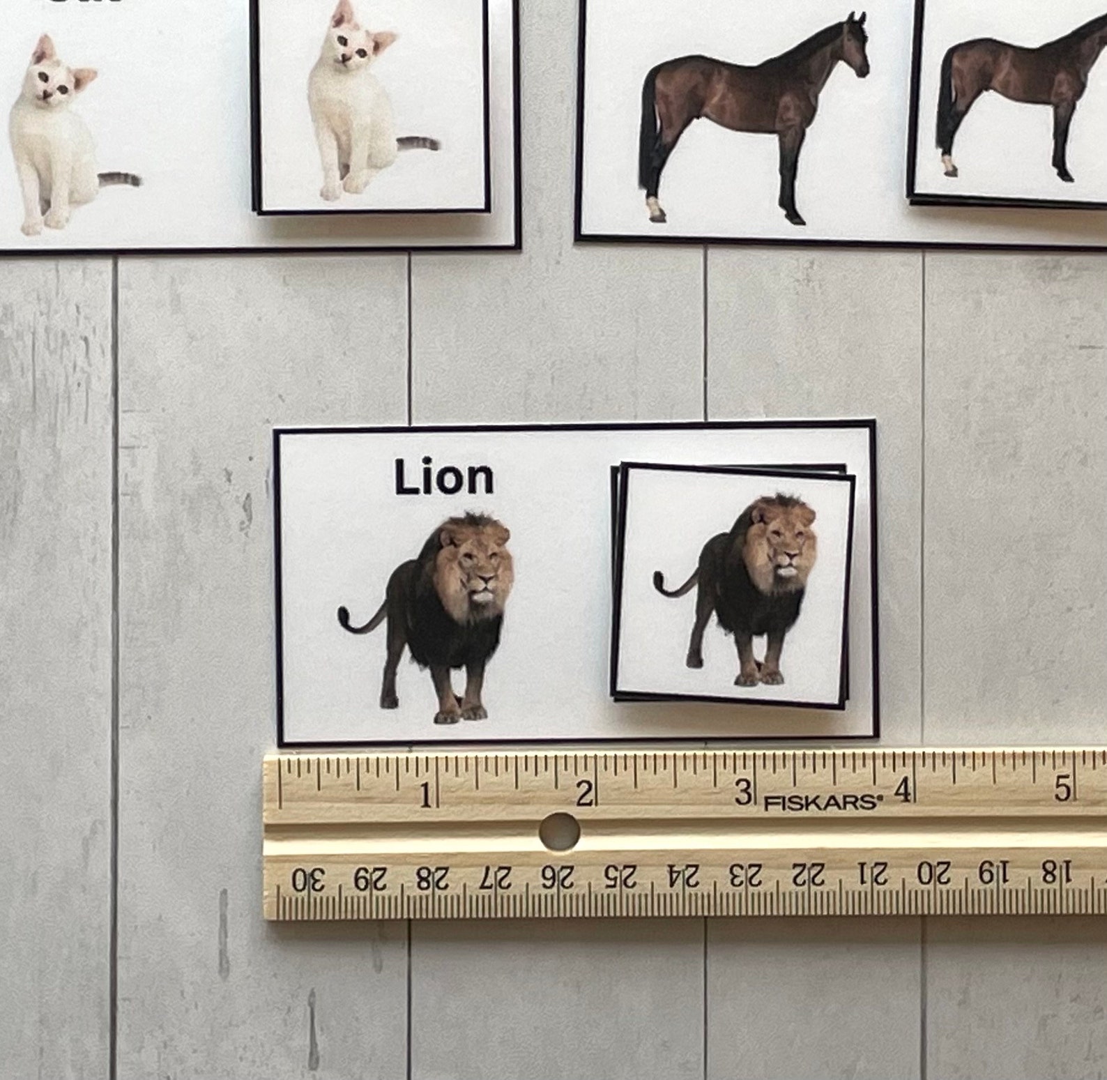 Animal Matching- Task Box Activity Set- for Preschool, Toddlers ...