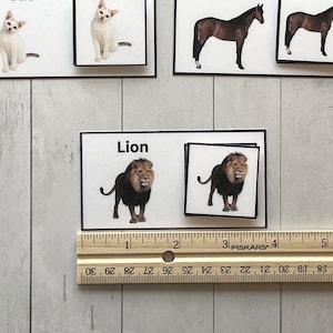 Animal Matching- Task Box Activity Set- for Preschool, Toddlers ...