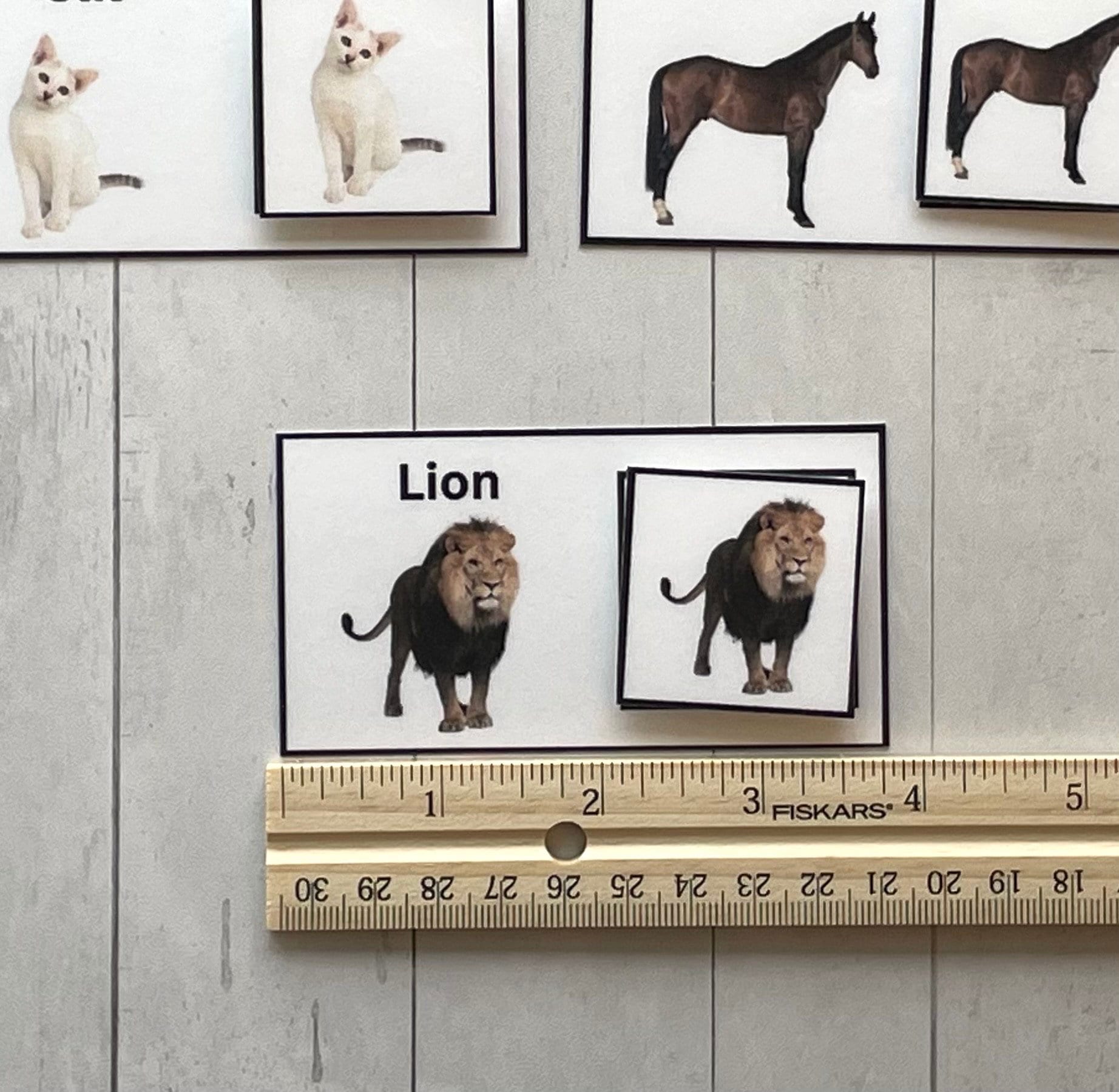 Animal Matching- Task Box Activity Set- for Preschool, Toddlers ...