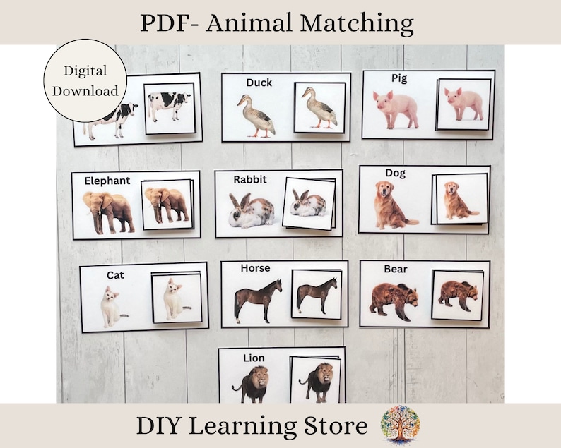 Animal Matching- Task Box Activity Set- for Preschool, Toddlers ...
