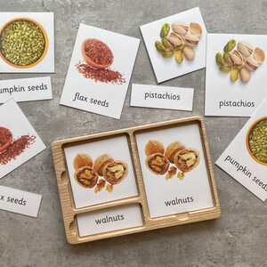 Nuts and Seeds- Montessori 3 Part Flash Cards- Real Pictures- Editable ...