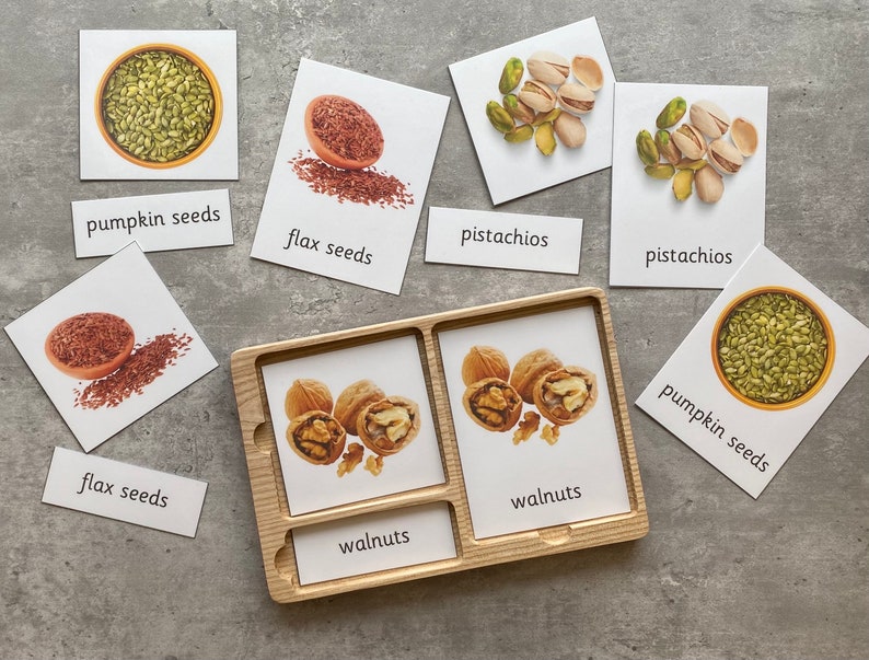 Nuts and Seeds- Montessori 3 Part Flash Cards- Real Pictures- Editable ...