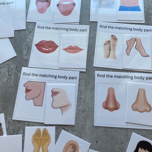 Body Parts Matching- Life Skills Activity Set- Multiple Difficulty ...