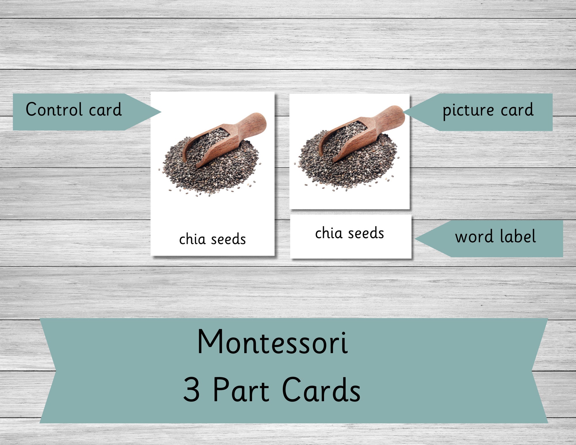 Nuts and Seeds Montessori 3 Part Flash Cards Real Pictures - Etsy