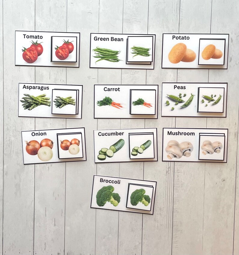 Vegetable Matching- Task Box Activity Set- for Preschool, Toddlers ...