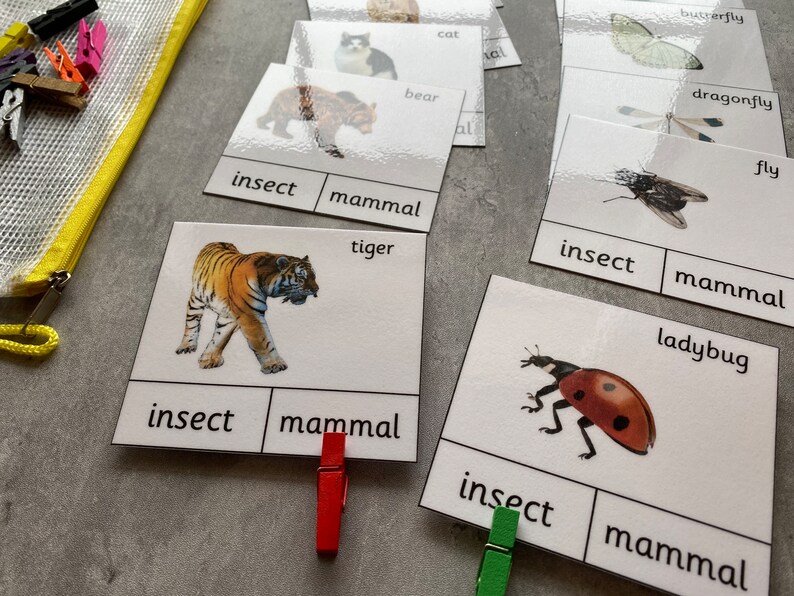 Insect or Mammal-life Skills Activity Set - Etsy