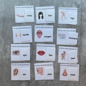 Body Parts Matching- Life Skills Activity Set- Multiple Difficulty ...