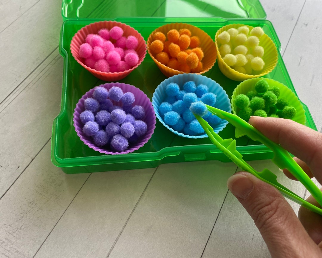 Counting and Color Sorting With Mini Poms Task Box Activity Set ...