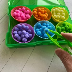 Counting and Color Sorting With Mini Poms Task Box Activity Set ...