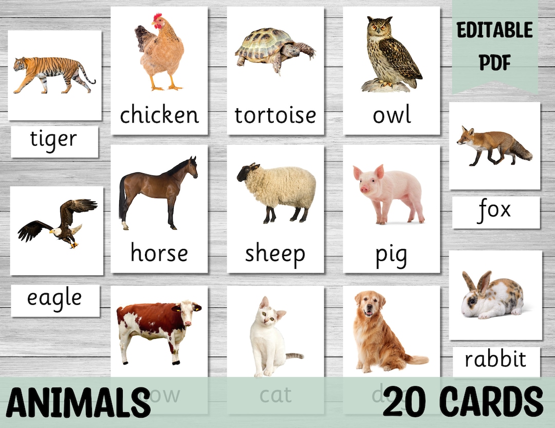 Animals Montessori 3 Part Flash Cards Montessori Toys and - Etsy