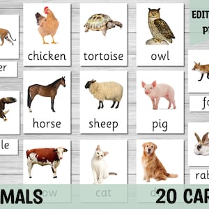 Animals- Montessori 3 Part Flash Cards- Montessori Toys and Games- Real ...