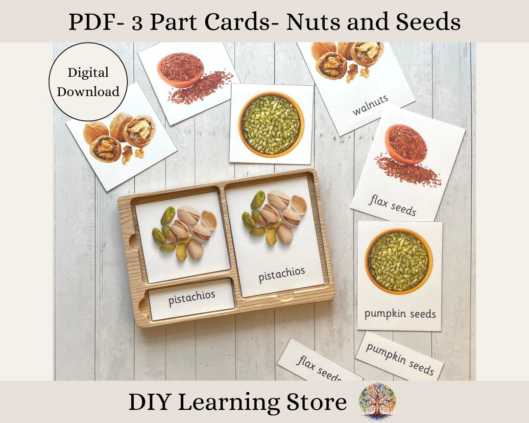 Nuts and Seeds- Montessori 3 Part Flash Cards- Real Pictures- Editable ...
