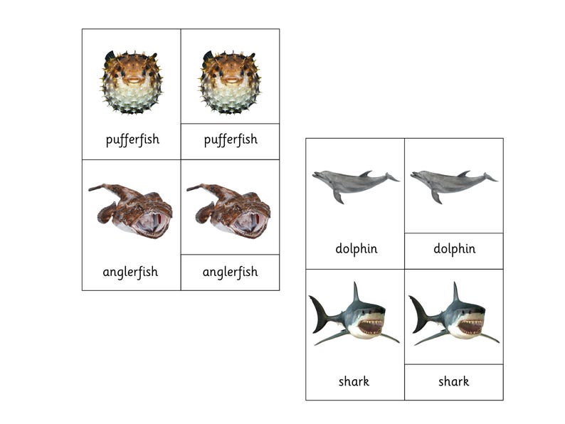 3 Part Cards- Sea Animals- Montessori Nomenclature Cards- Flash Cards ...