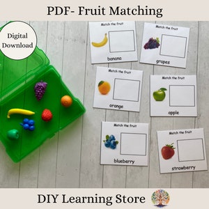 Fruit Matching Activity Cards- Instant Download- Montessori Learning ...
