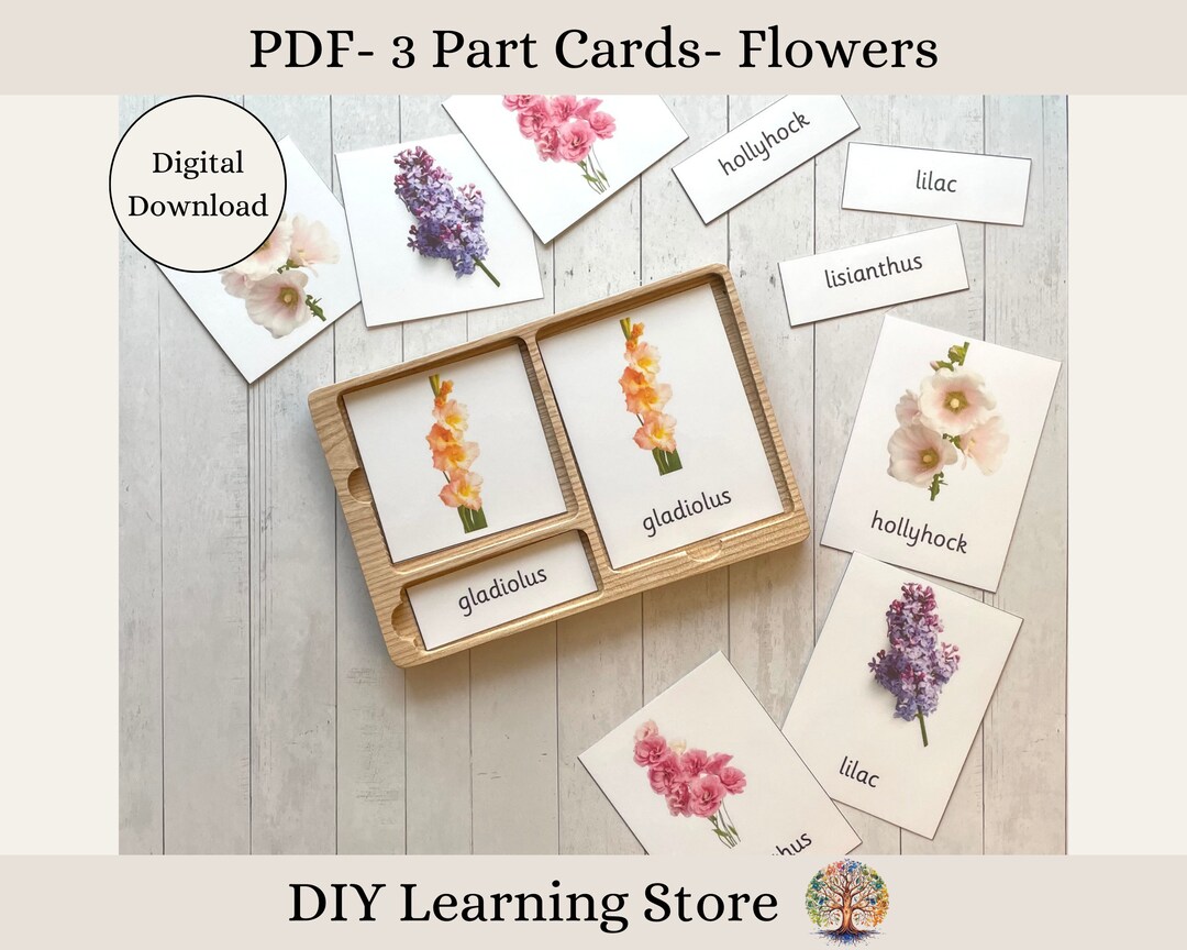 Flowers- Montessori 3 Part Flash Cards- Real Pictures- Editable PDF ...