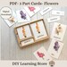Body Parts- Montessori 3 Part Flash Card Set - Real Pictures ...