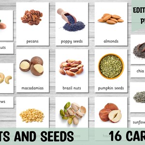 Nuts and Seeds- Montessori 3 Part Flash Cards- Real Pictures- Editable ...