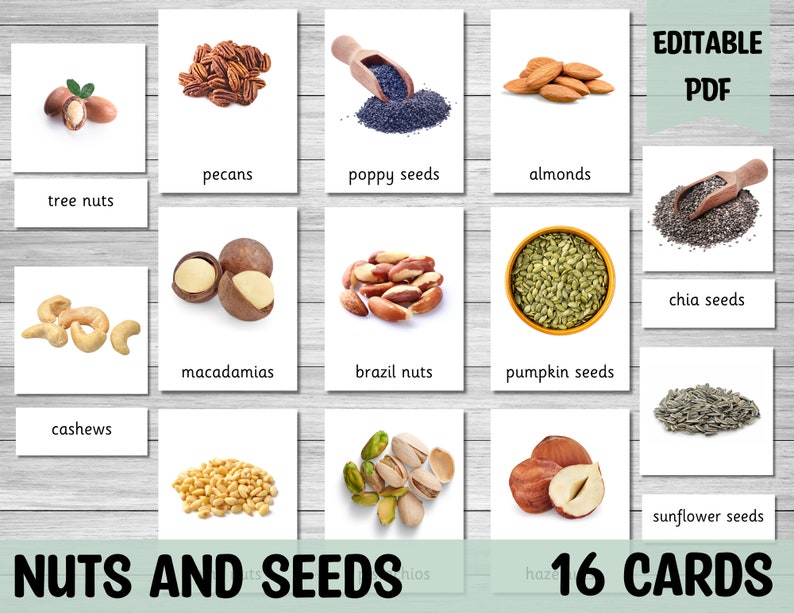 Nuts and Seeds- Montessori 3 Part Flash Cards- Real Pictures- Editable ...