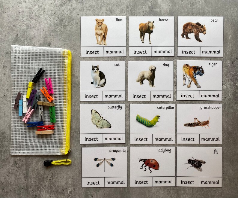 Insect or Mammal-life Skills Activity Set - Etsy