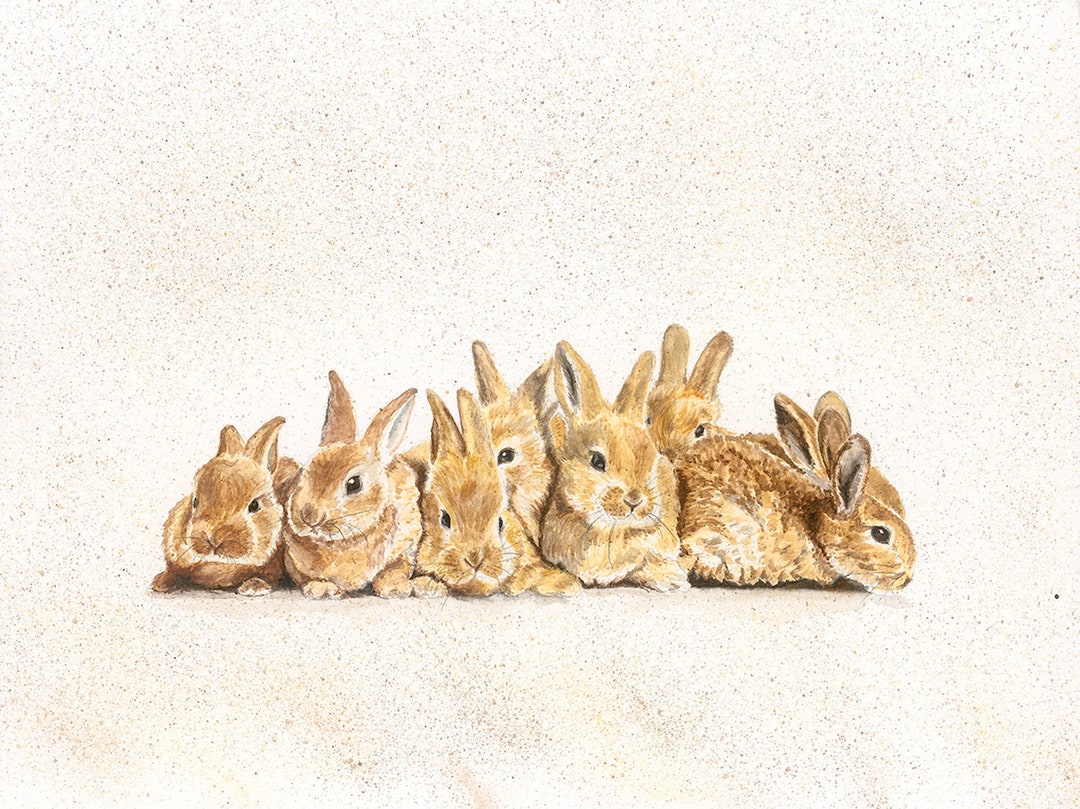 Rabbit Watercolour Print, Rabbit Watercolour Painting, Rabbit Painting ...