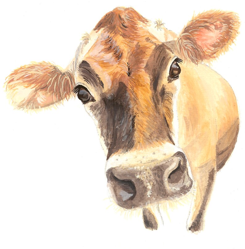 A3 Jersey Cow Watercolour Print Jersey Cow Watercolour | Etsy