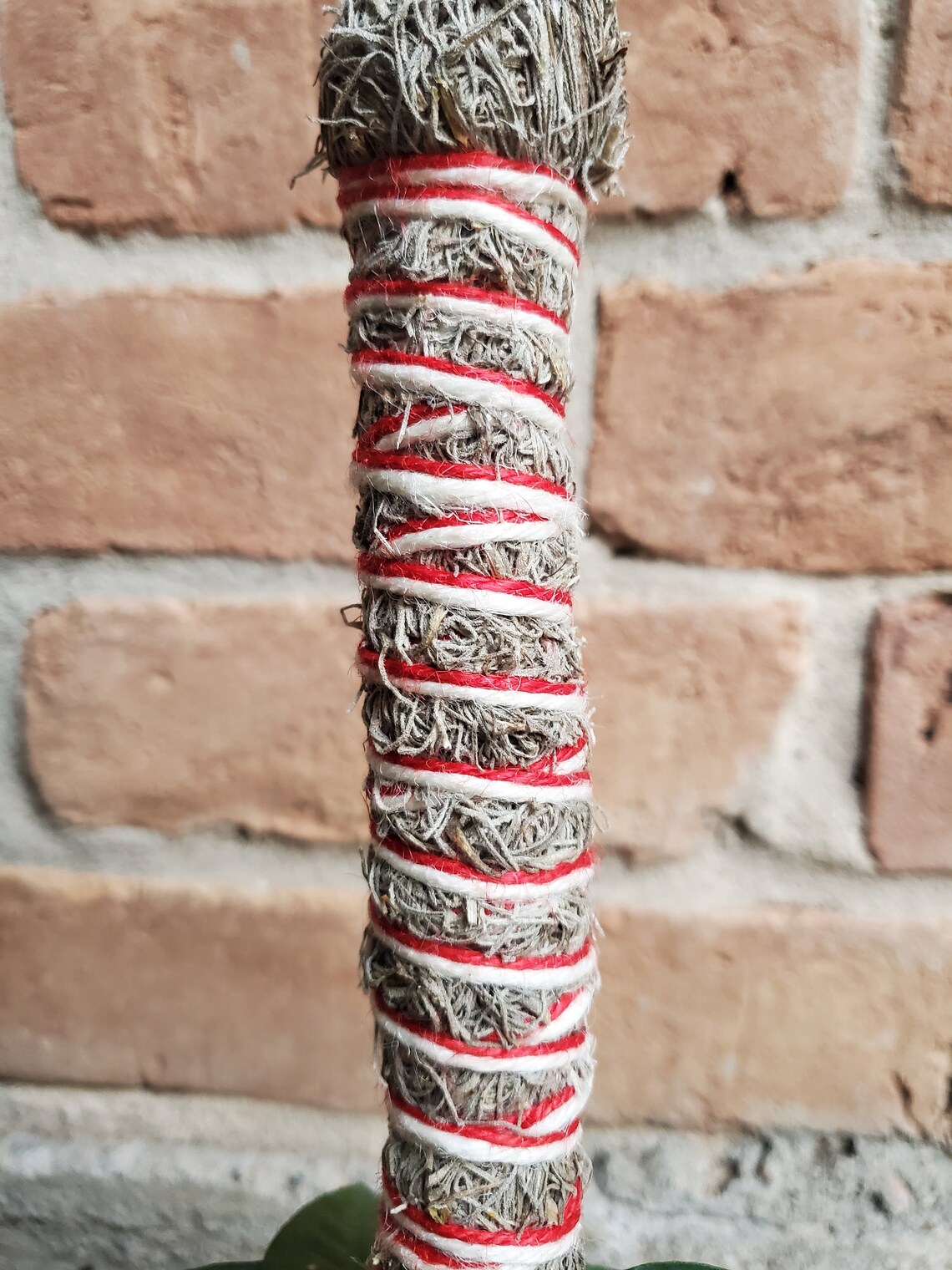 Mini Spanish Moss Pole: Holiday Plant Support, Plant Lover Gift - Etsy