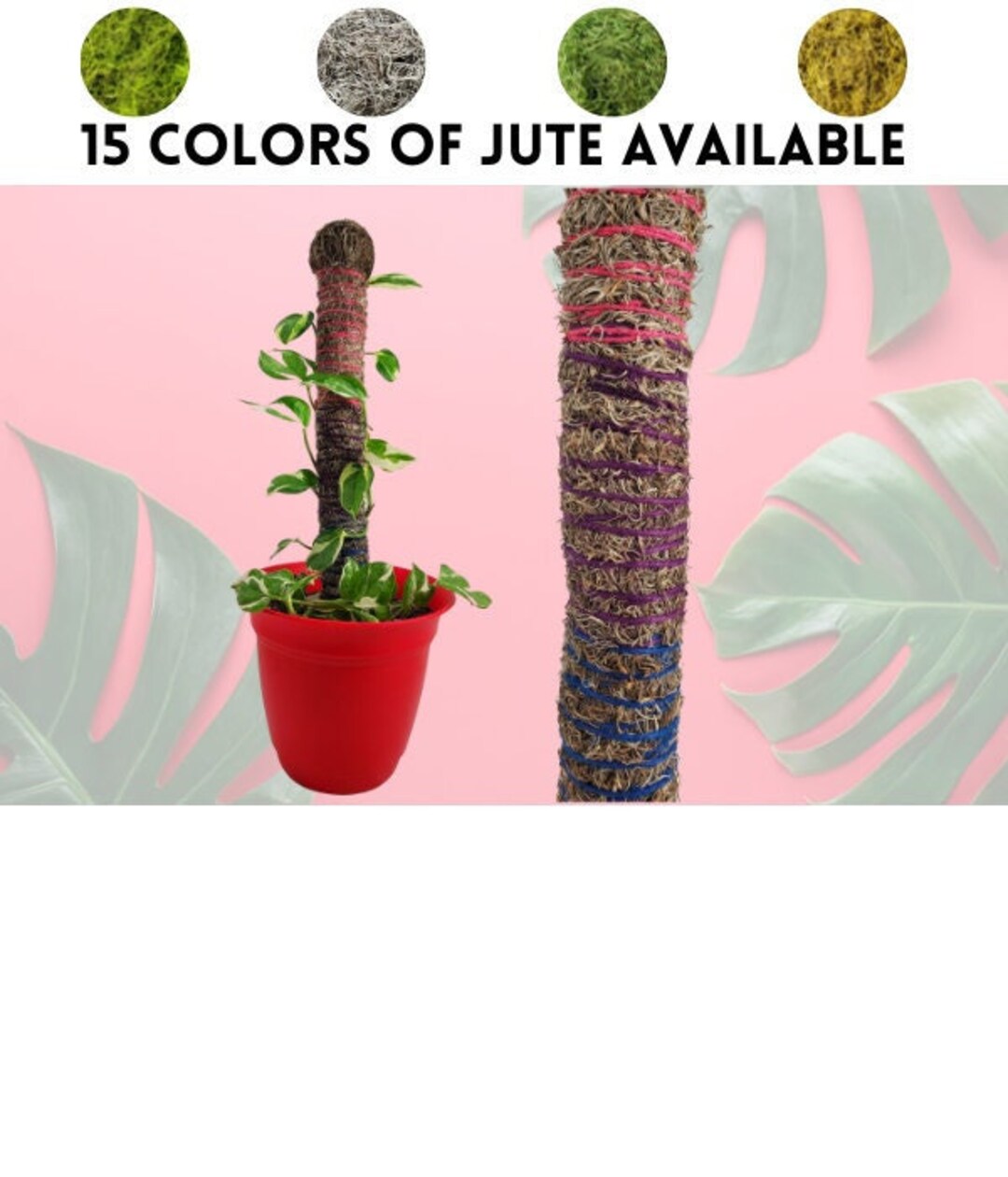 Color Block Spanish Moss Plant Pole: Customizable Plant Support - Etsy