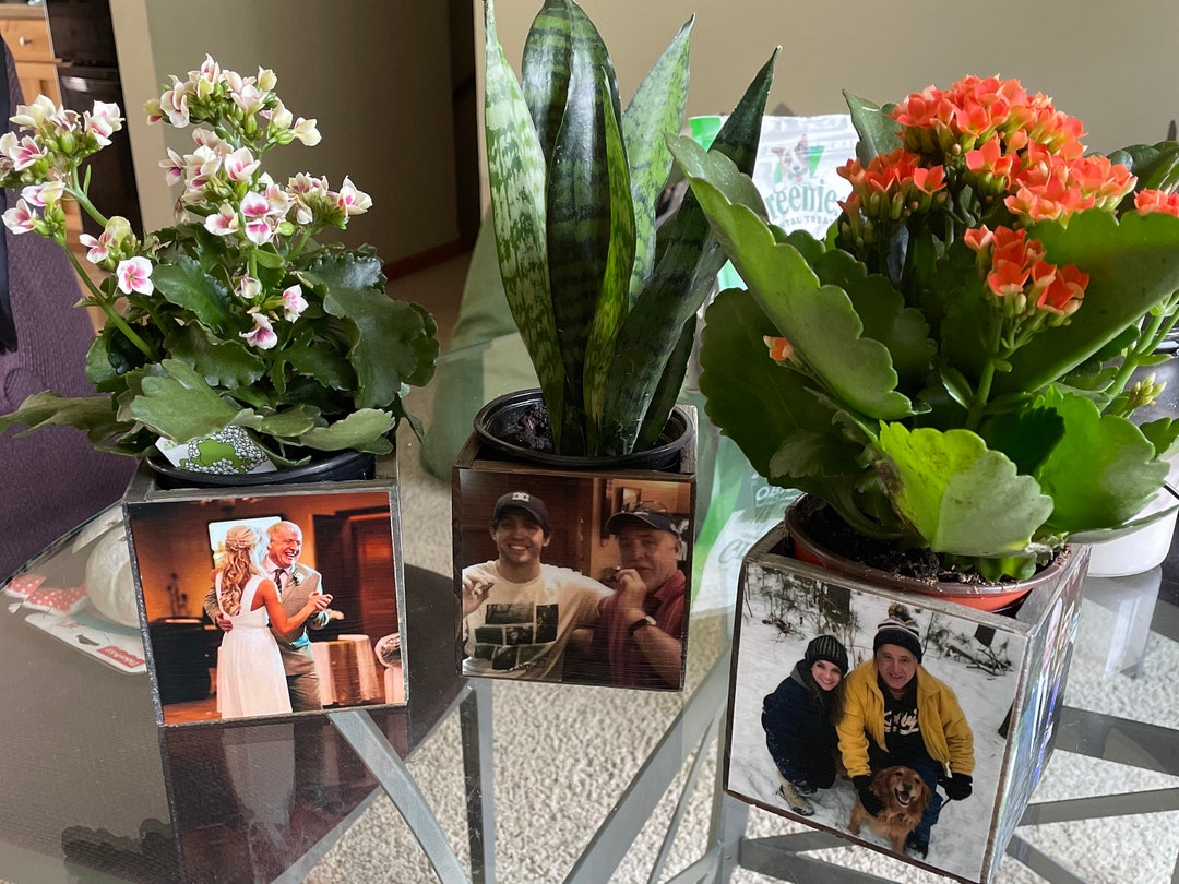 Memorial Photo Planter, Memorial Indoor Pot, Memory Planter, in Memory ...