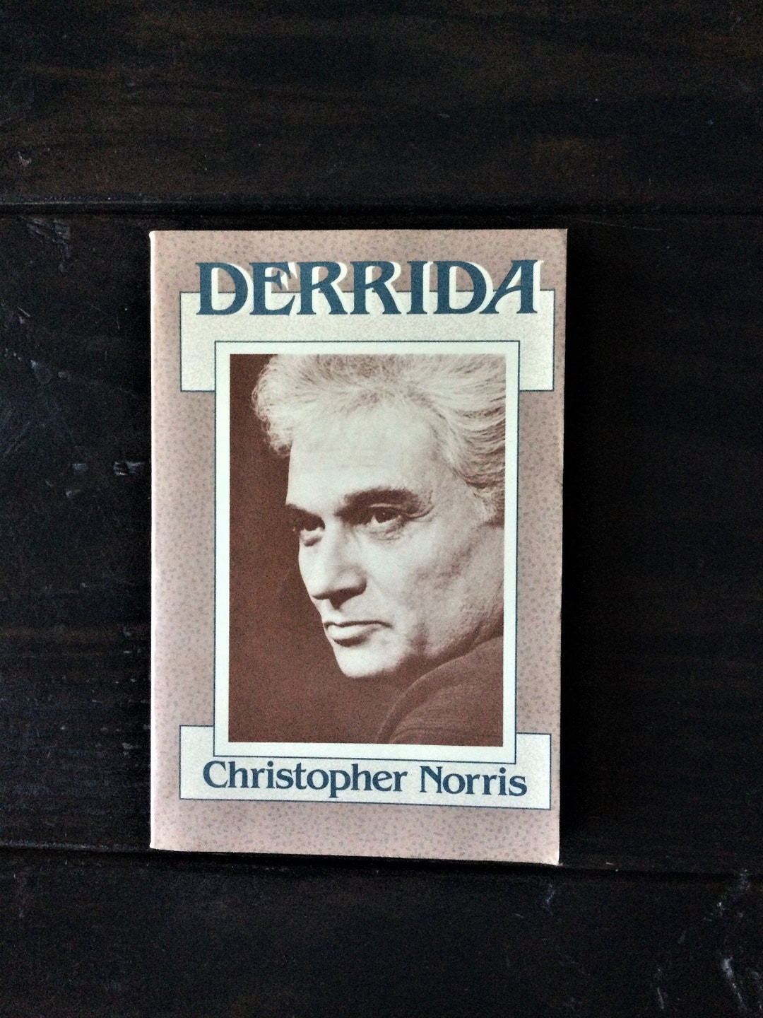 Derrida Deleuze Bergson Collection - 9 Books to Choose From - Pure ...
