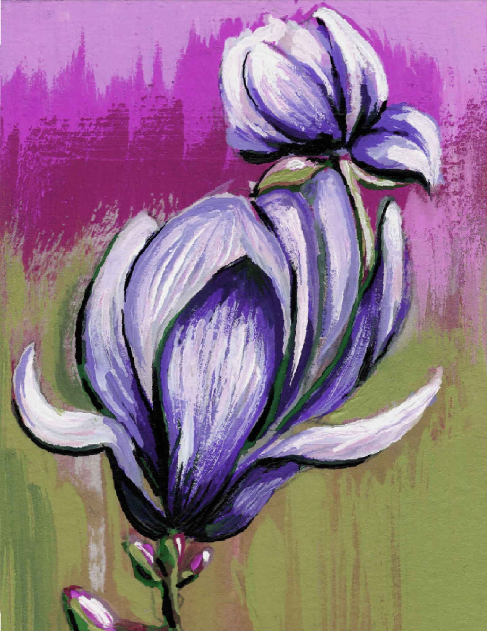 Magnolia Bloom Print From Original Gouache Painting by Wanda - Etsy