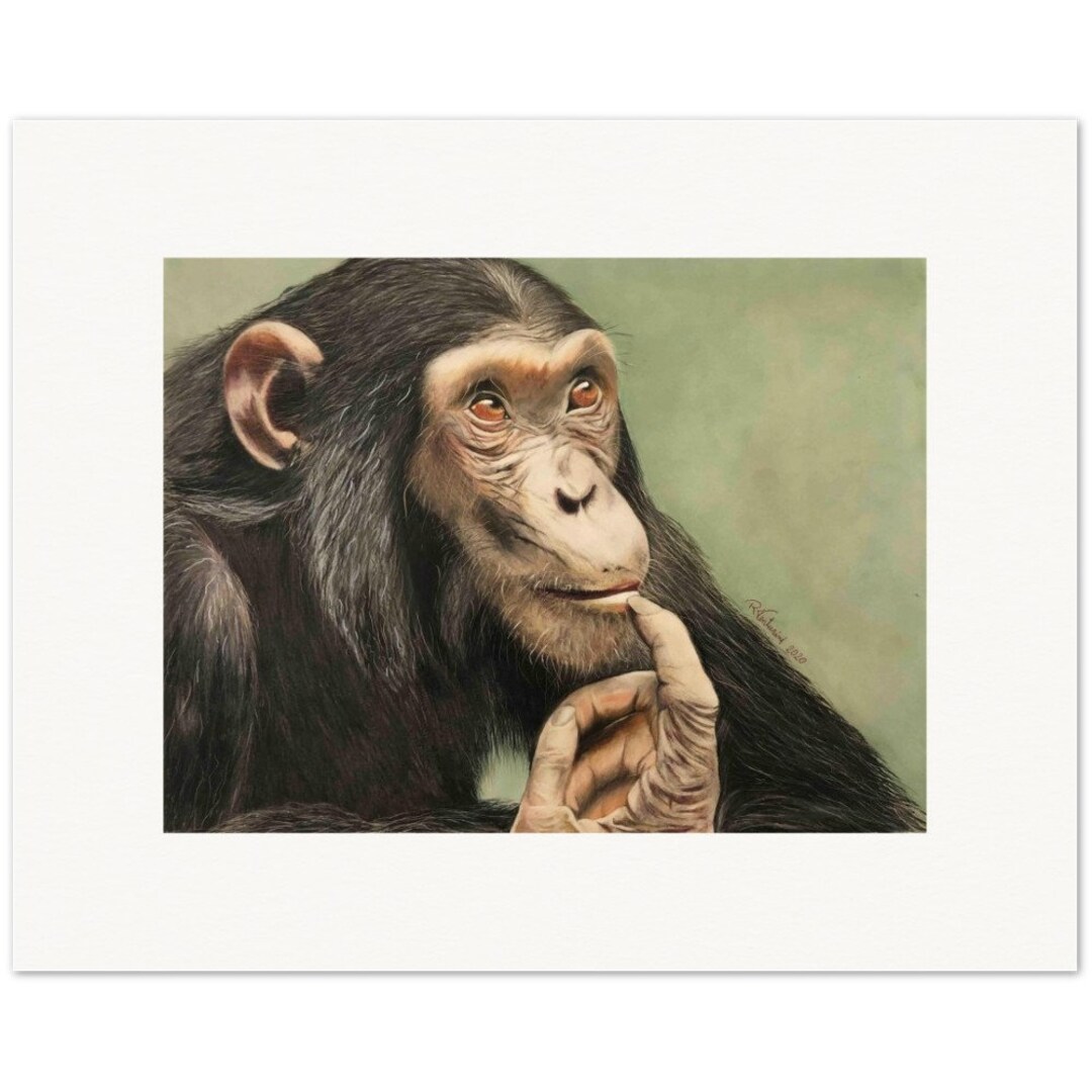 Chimpanzee Poster Chimp Poster Chimpanzee Art Chimp Art - Etsy