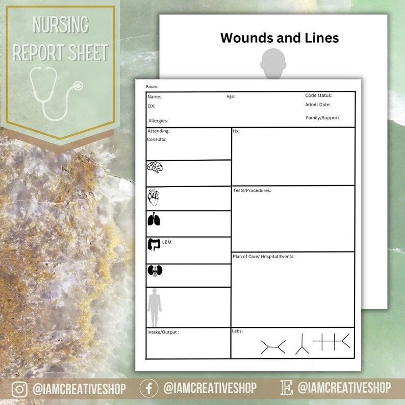 Nursing Report Sheet - Etsy