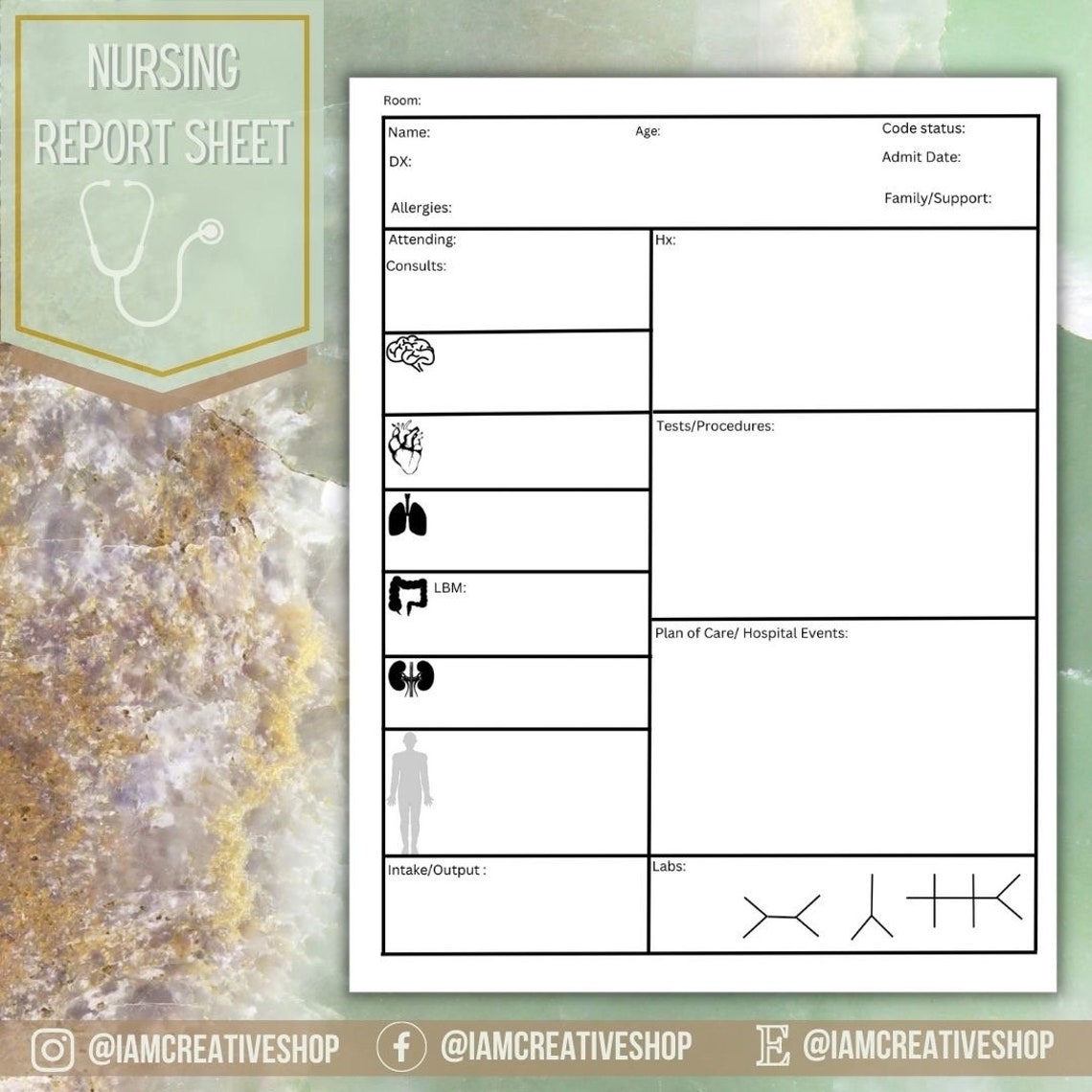 Nursing Report Sheet - Etsy