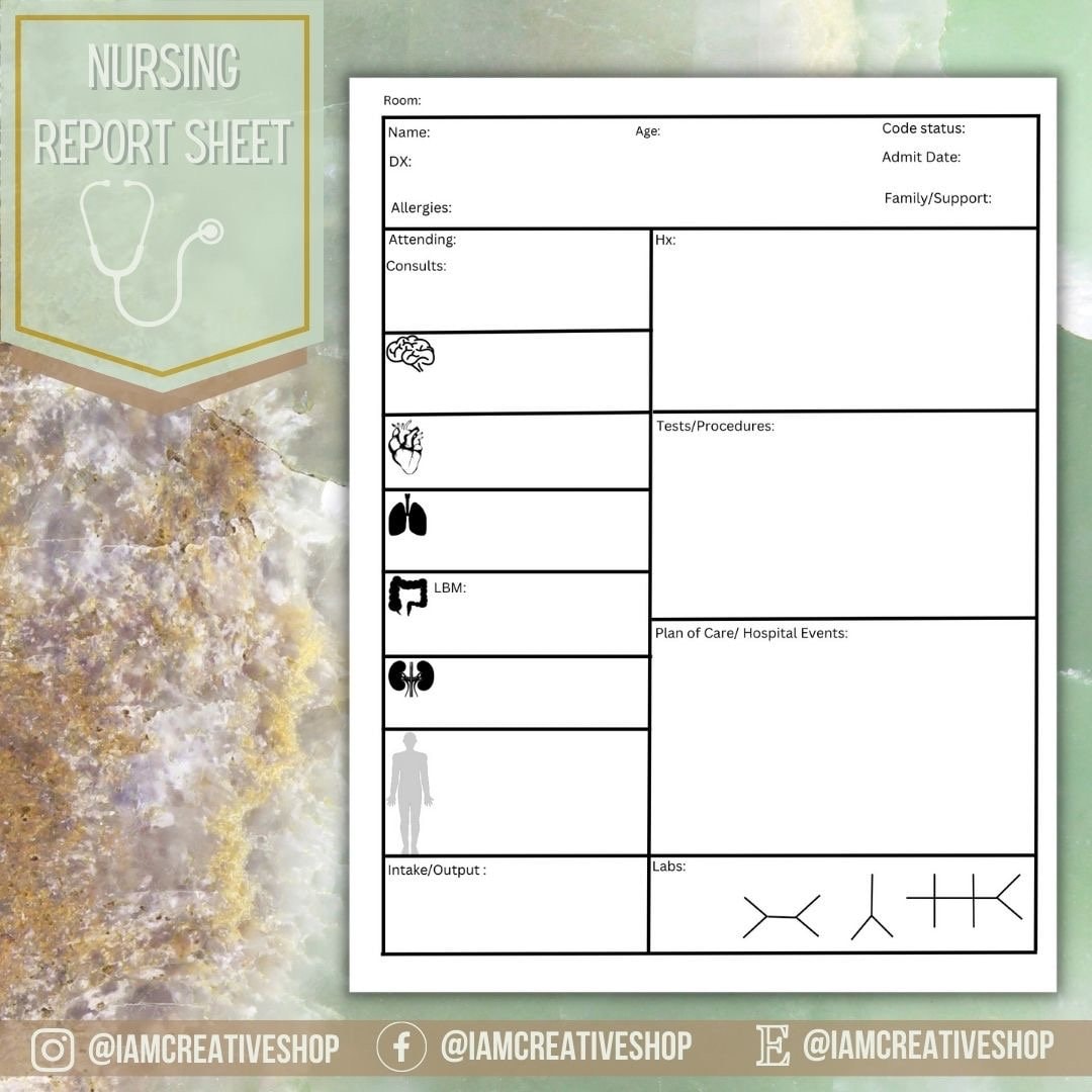 Nursing Report Sheet - Etsy