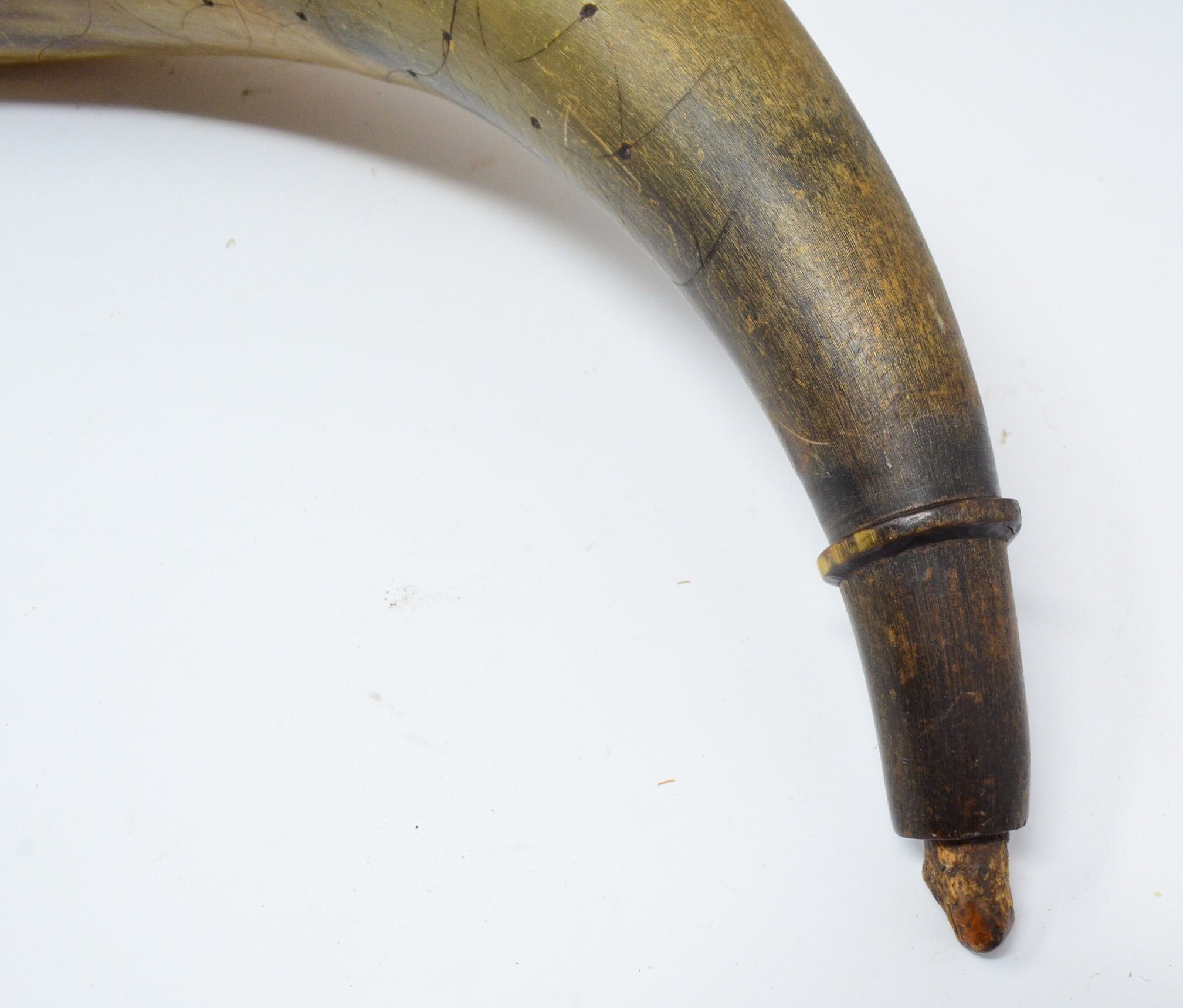 Early 1800's Powder Horn With Ornate Etchings - Etsy
