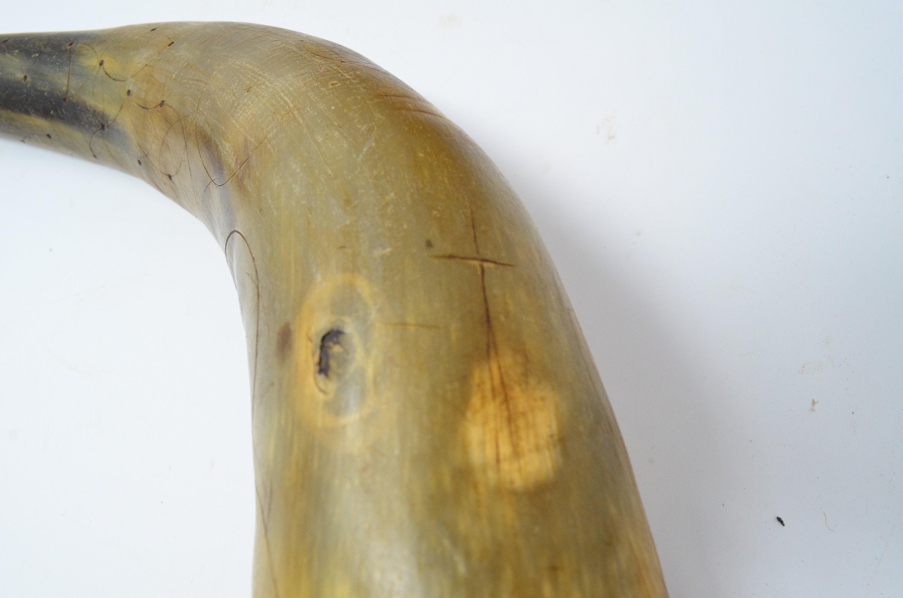Early 1800's Powder Horn With Ornate Etchings - Etsy