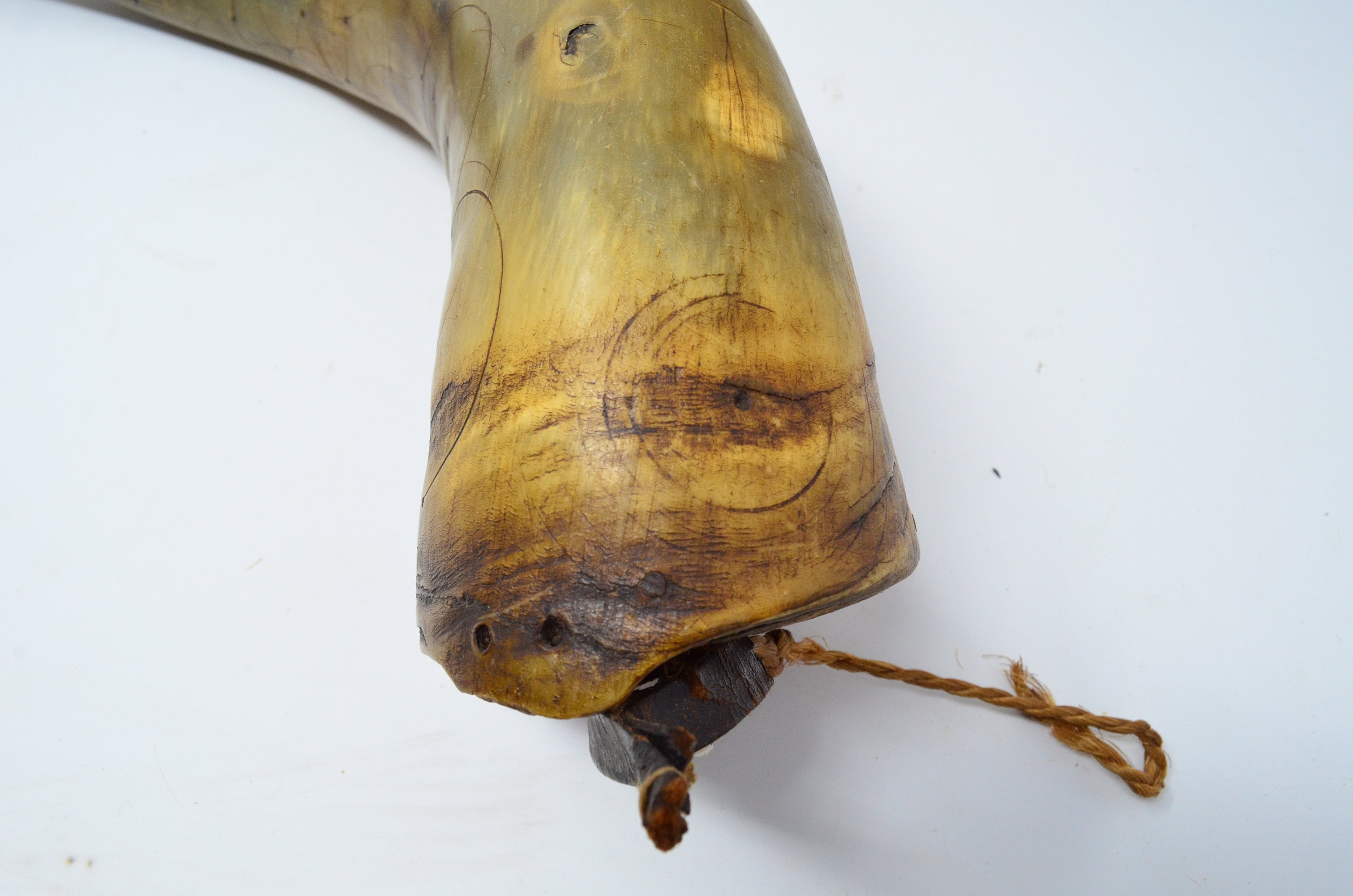Early 1800's Powder Horn With Ornate Etchings - Etsy
