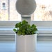 HPL HomePod Mini Mount or Stand With Built-in Planter - Etsy
