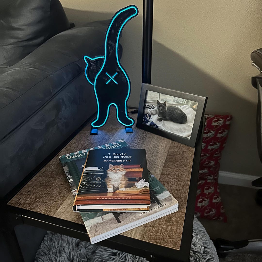 Funny Cat Lamp – 3D Printed Cat Butt Night Light – Neon EL Wire Glow ...