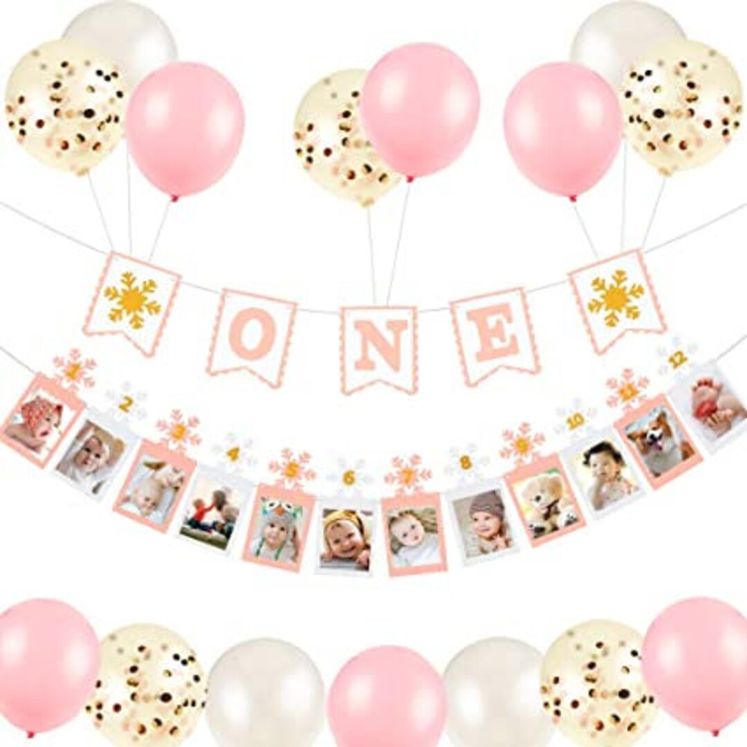 12 Month Photo Banner for First Birthday,one Banner, First Birthday ...