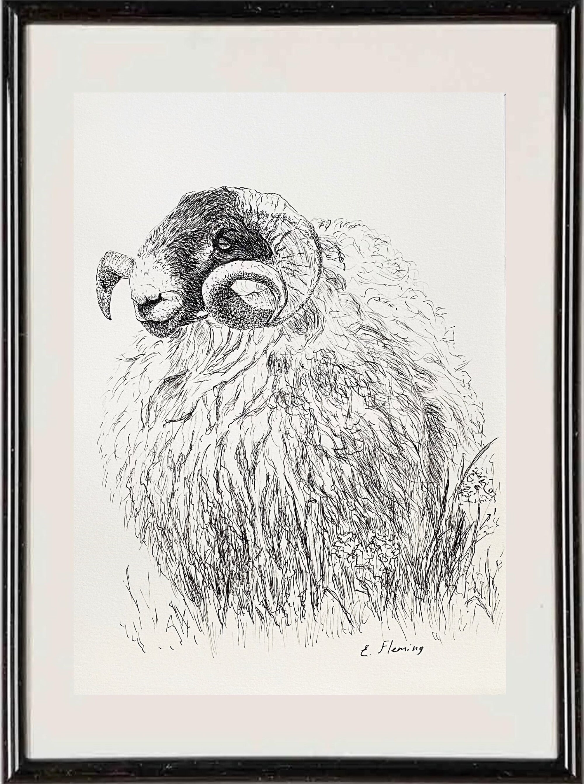Animals Drawings in Ink, Fox Portrait in Ink, Sheep Ink Drawing ...