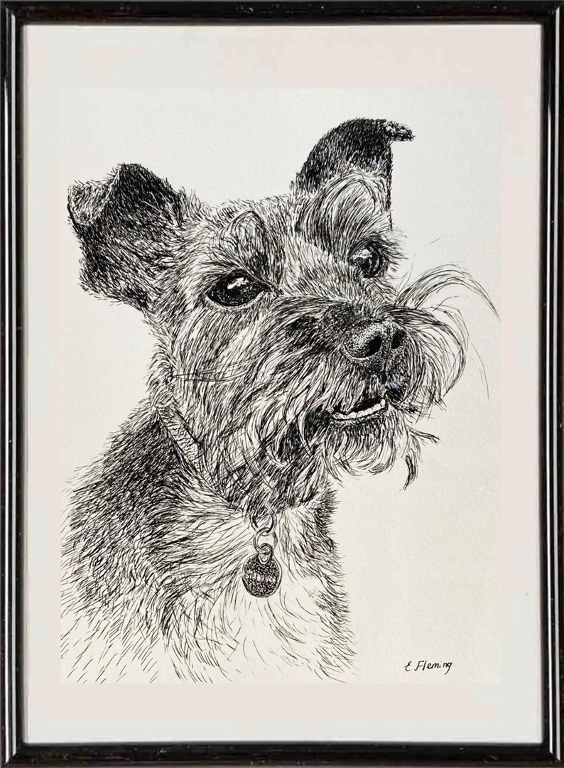 Animals Drawings in Ink, Fox Portrait in Ink, Sheep Ink Drawing ...