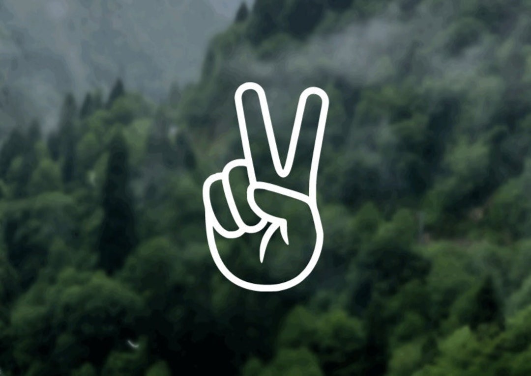 Peace Out Decal, Tumbler Decal, Bumper Sticker, Funny Car Sticker, Car ...