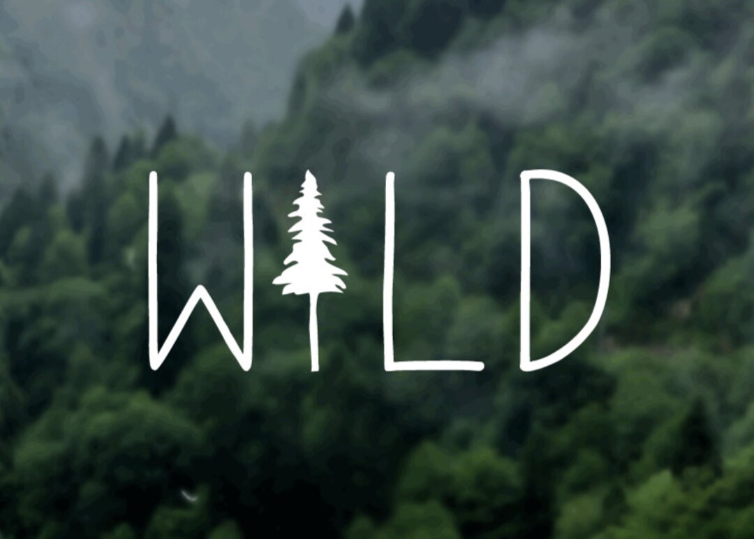 Wild Decal, Sitka Tree Car Decal, Pine Tree Sticker, Adventure Sticker ...