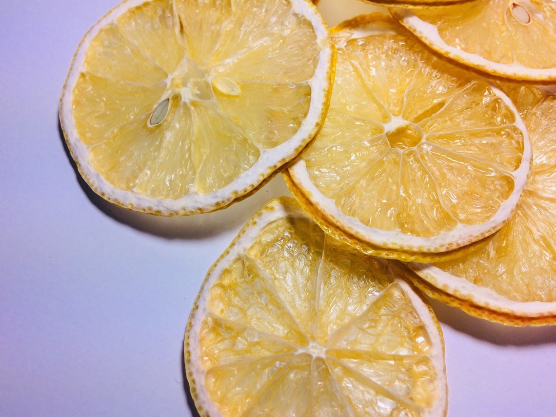 Dried lemon slices 20 Pcs Dehydrated Lemon Slices Dried | Etsy