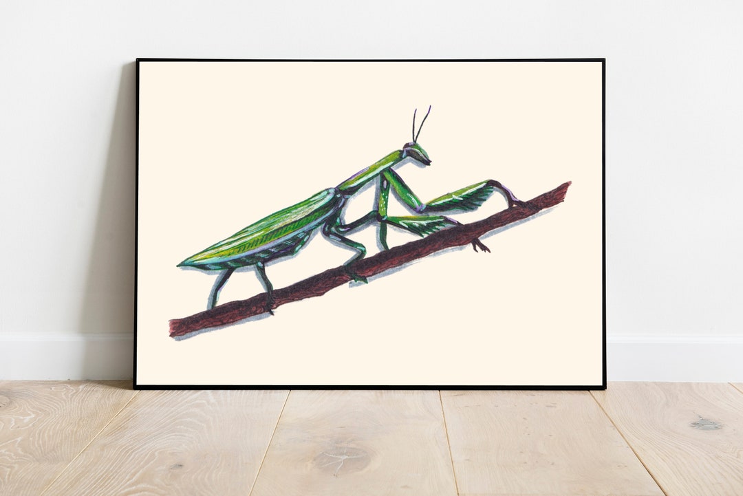 European Mantis Watercolor Painting - High Quality ART PRINT - by ...