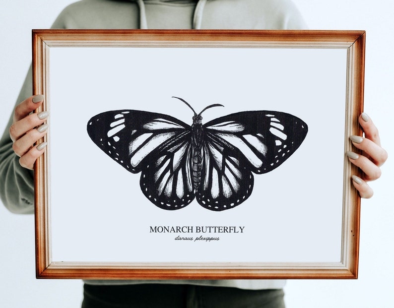 Monarch Butterfly Etching - High Quality ART PRINT - by Carson ...